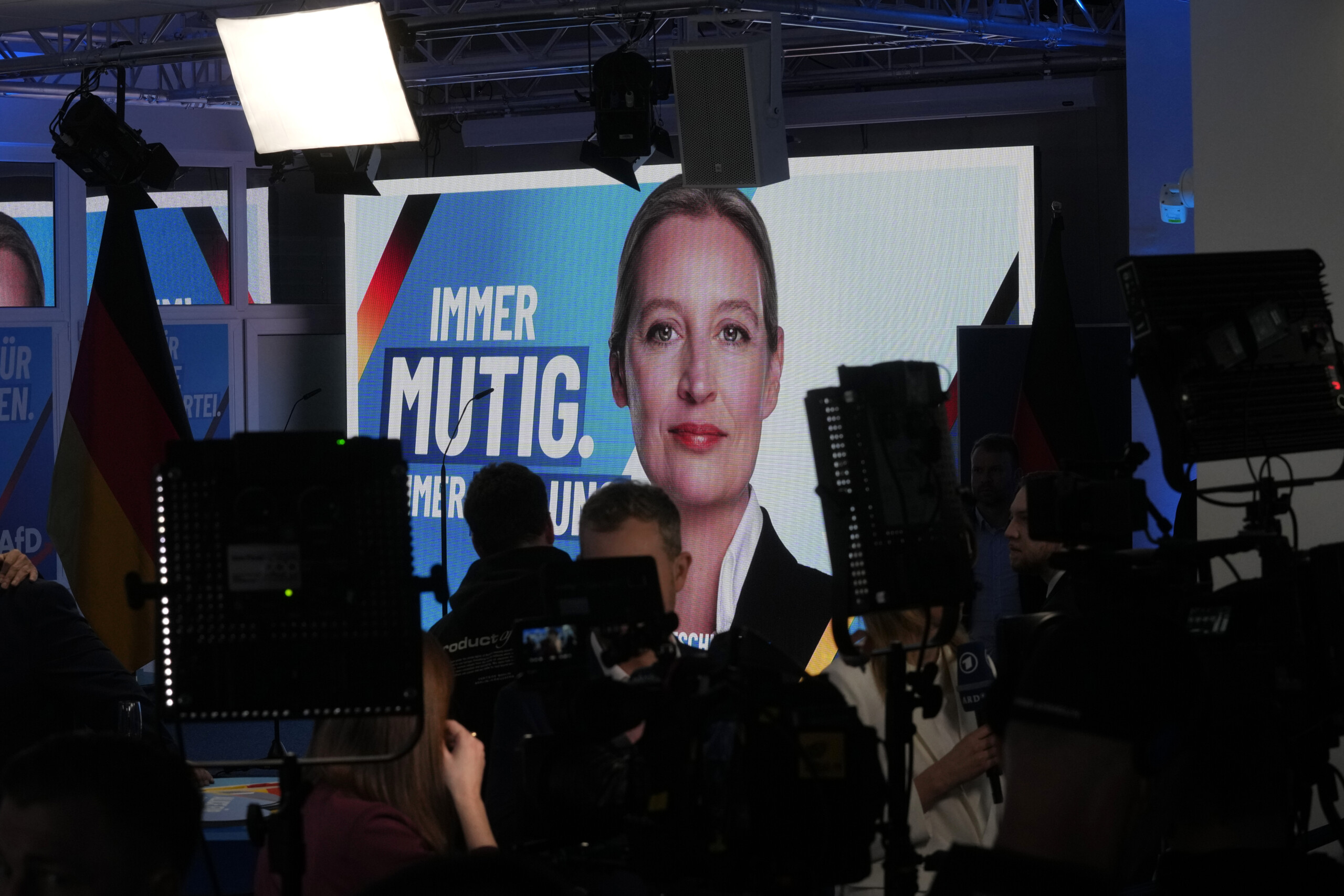 Allemagne : Berlin rejette fermement les critiques américaines sur la classification de l’AfD ...